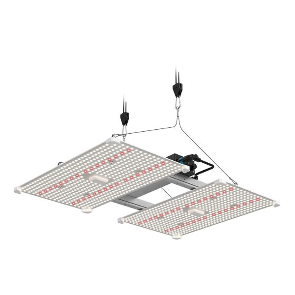 LUMii Black Blade 400w LED - RSA Plug – All Things Dank